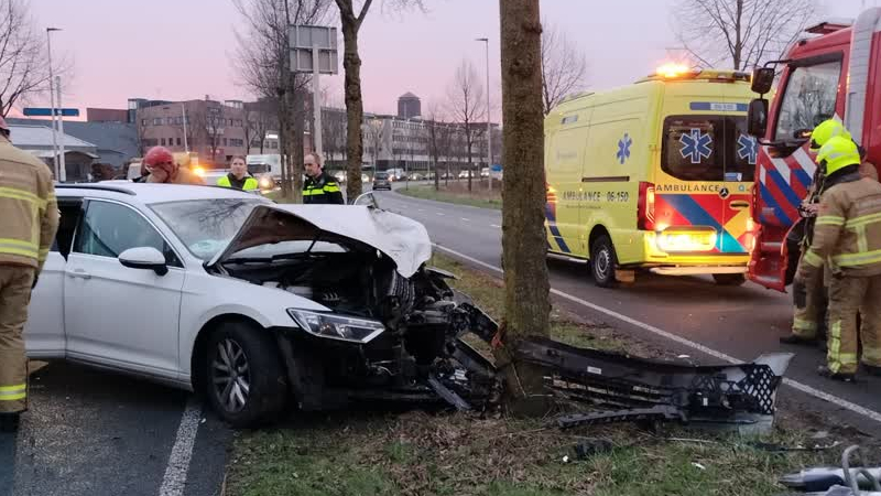 Automobilist botst frontaal op boom bij binnenrijden van Doetinchem