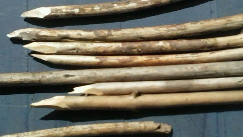 Valkuilen in Rijkenbargse bos